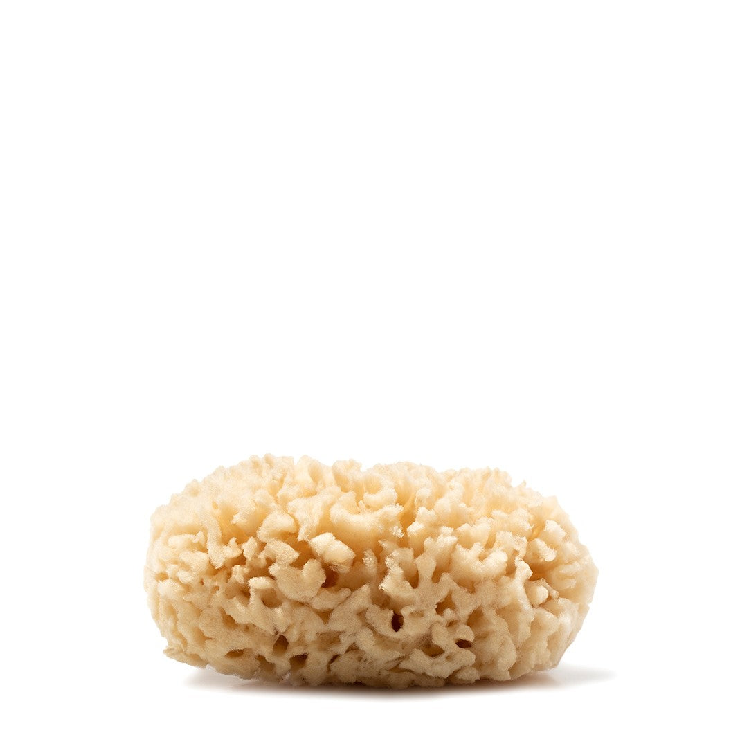 Natural Sea Wool Bath Sponge – Farmaesthetics